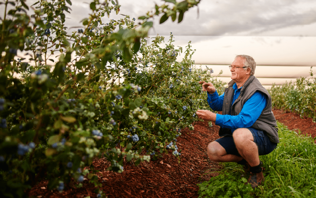 Brands - Fresh Produce Group