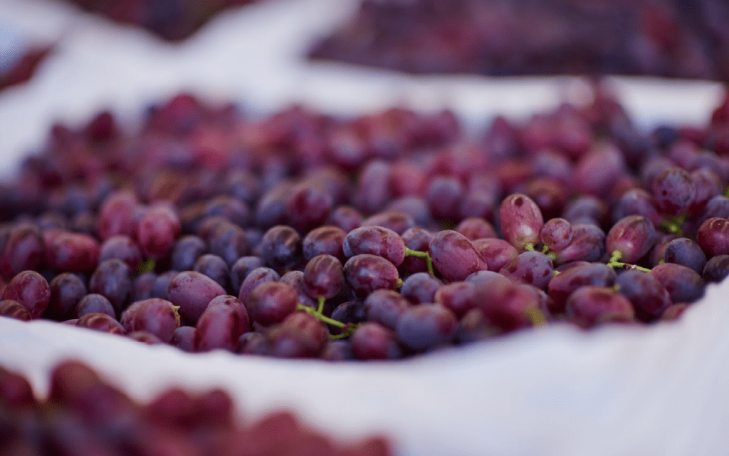 Brands - Fresh Produce Group