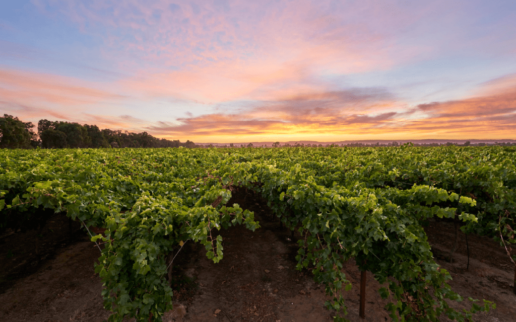 Brands - Fresh Produce Group